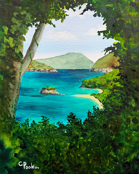 St. john usvi Art | Cate Poole Water Colors