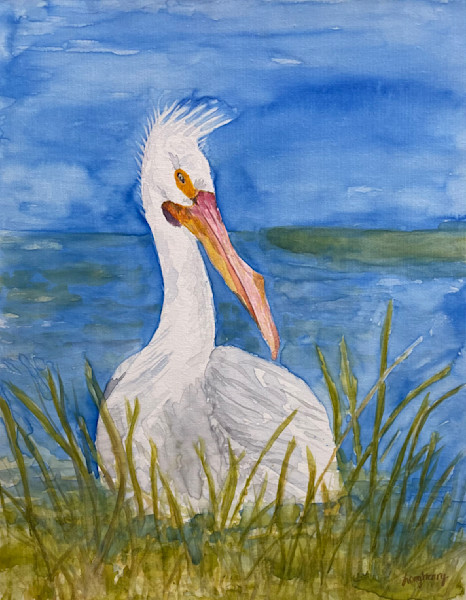 Heather Longhenry, Heathie Lee Art Studio, Shop Watercolor Fine Art