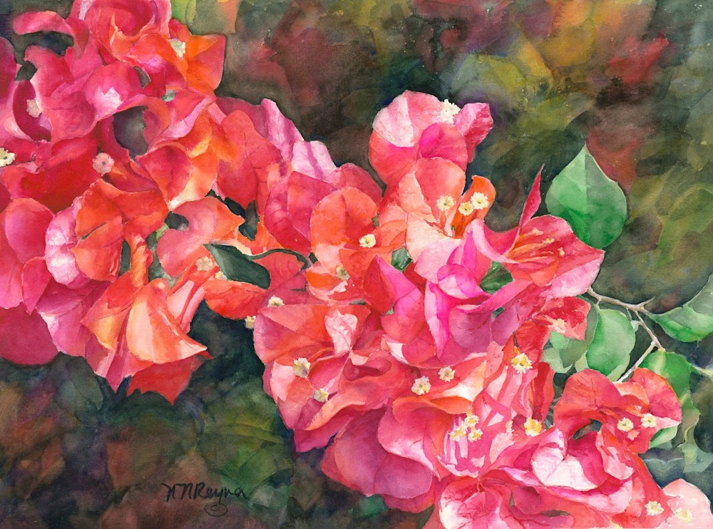 Flamboyant Art | Nancy Reyna Fine Art