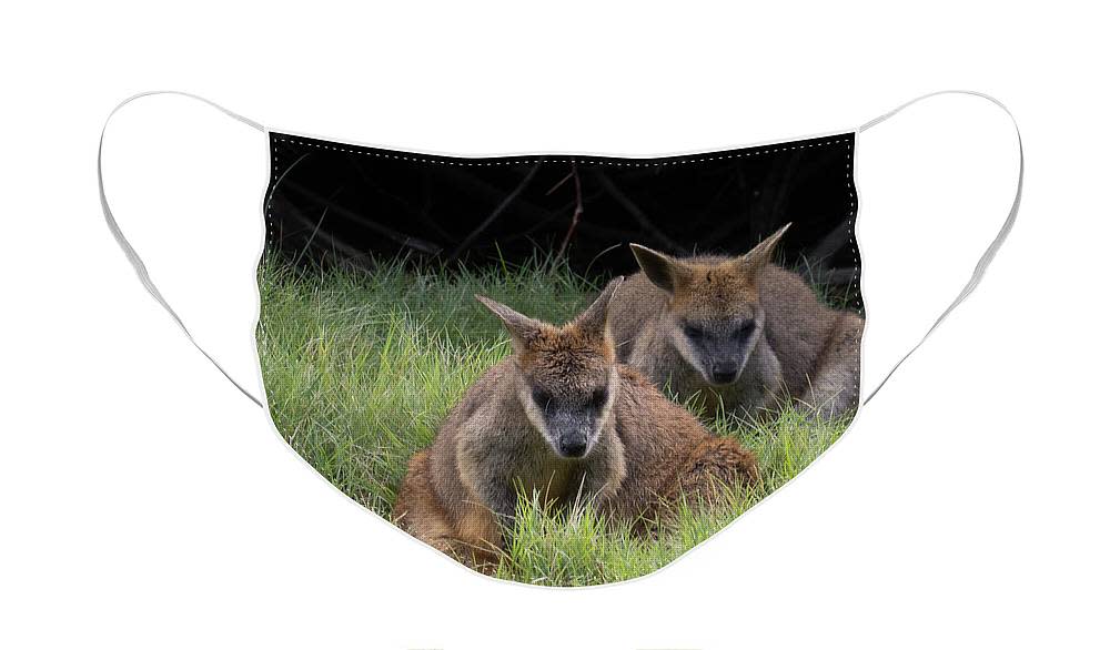 Face Mask for kids and adults featuring Wallaby photo