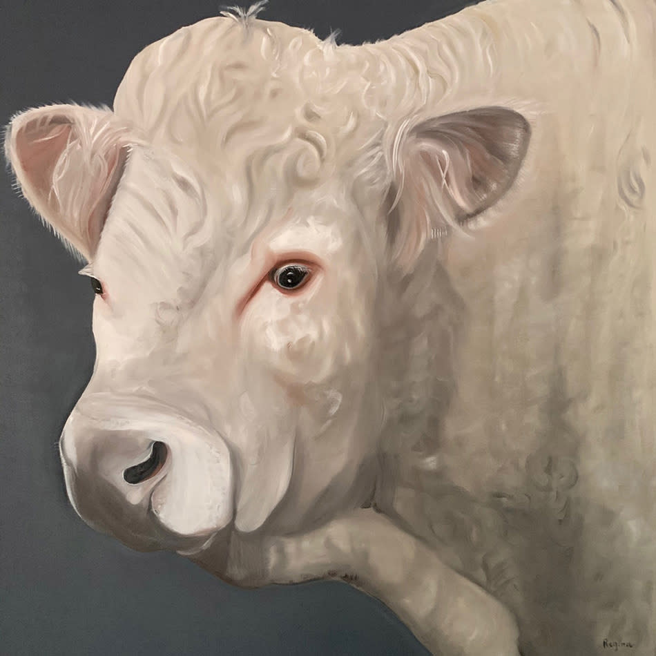 Geronimo: original oil painting of a cow by Regina Foster