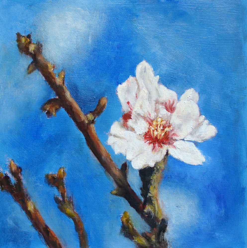 Almond Blossom Art | Florine Duffield Art