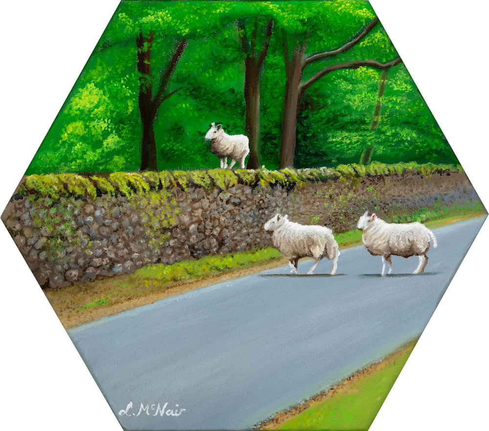 Road Share Sheep Art | Loretta McNair