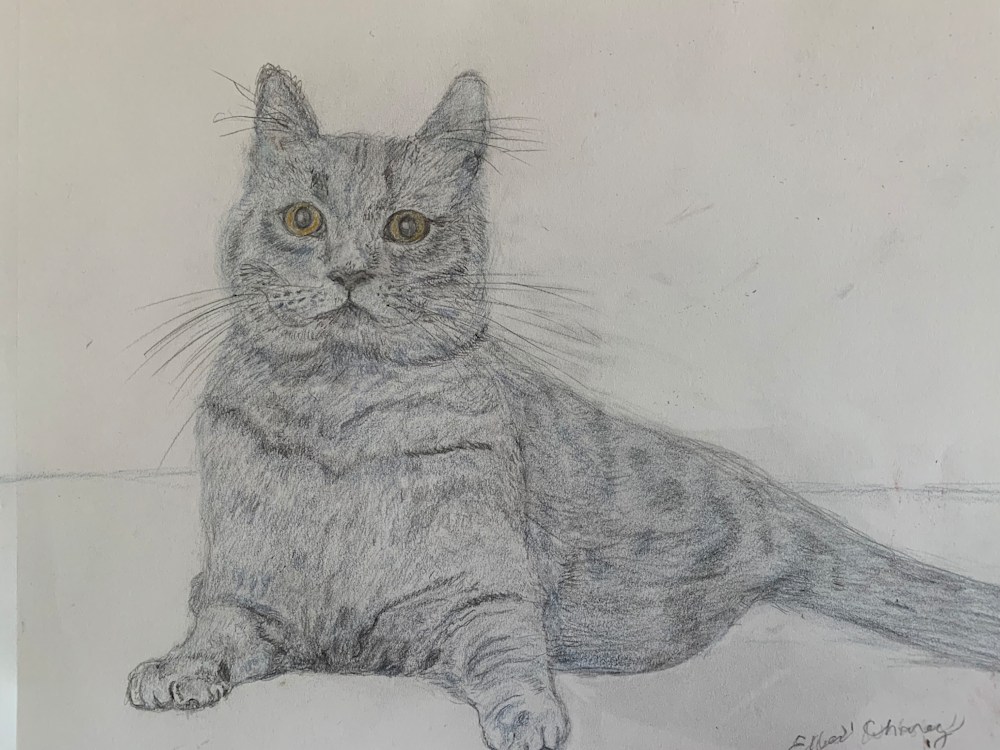 grey cat artwork