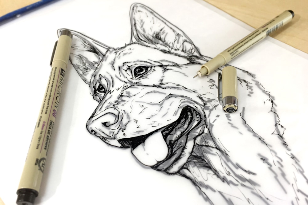 How To Turn A Picture Into A Line Drawing