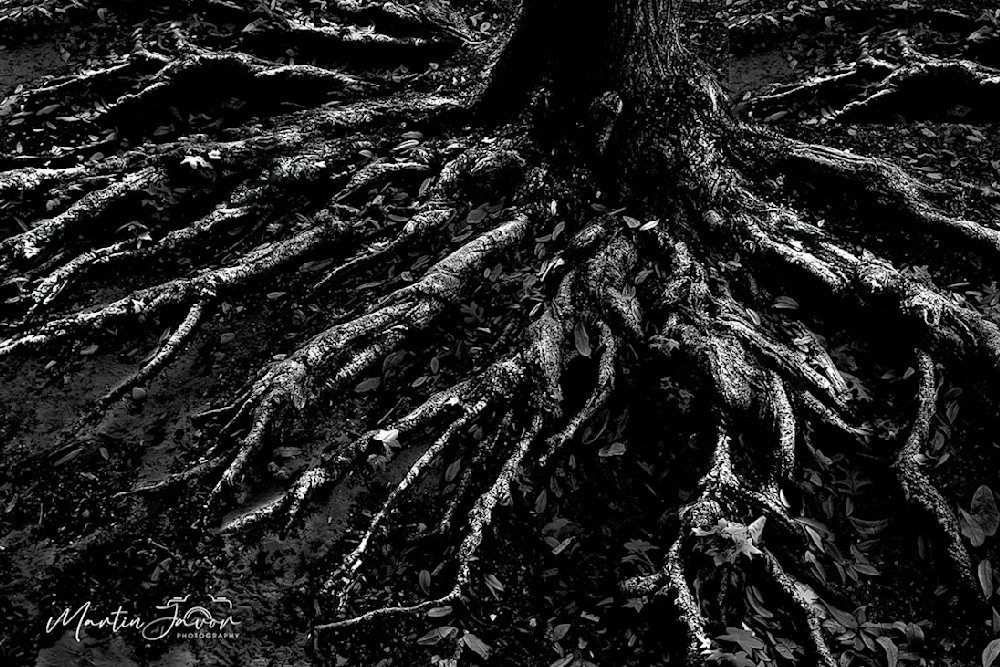 Art Print Giveaway Art Print Giveaway
