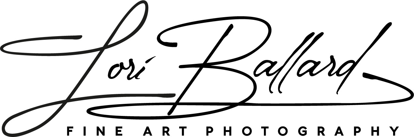 About The Artist | Lori Ballard